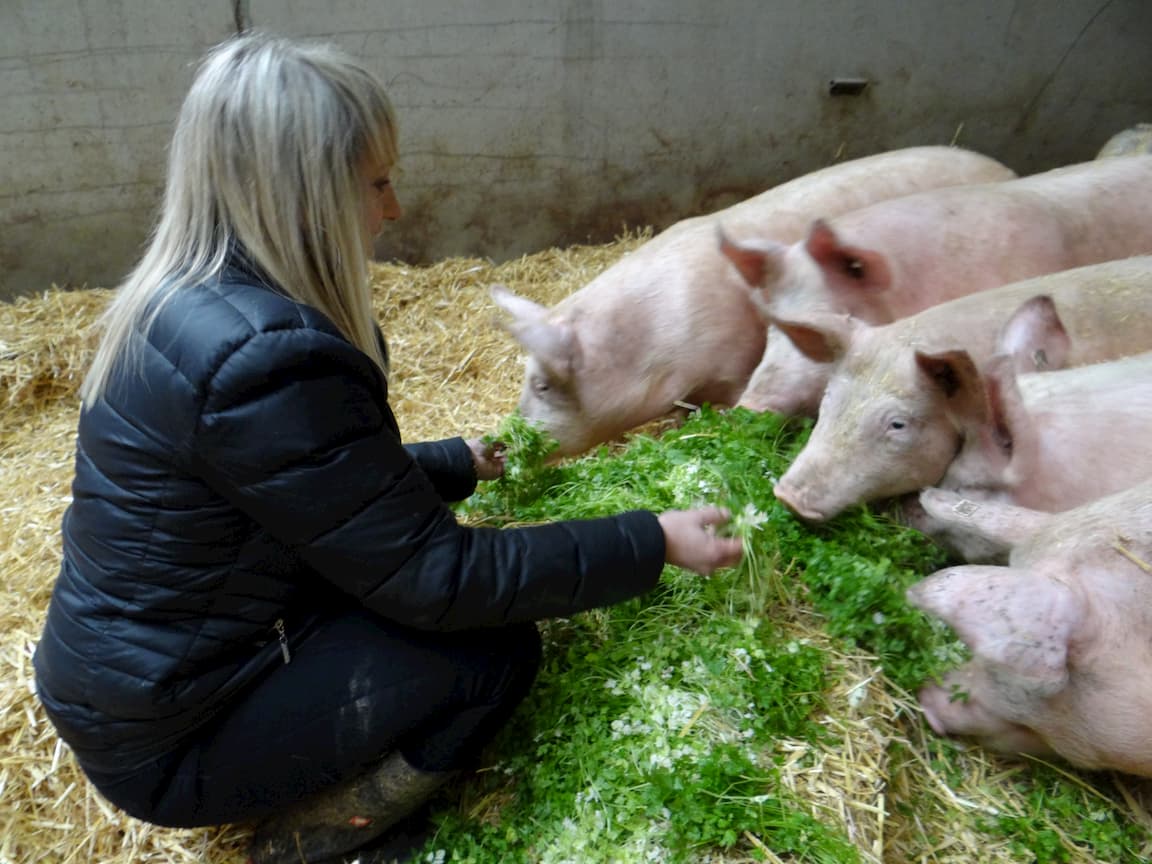 Apfelweinwirtschaft Frau Rauscher eine der besten in ganz Hessen